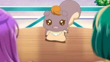 Nuts/Image Gallery | Pretty Cure Wiki | Fandom
