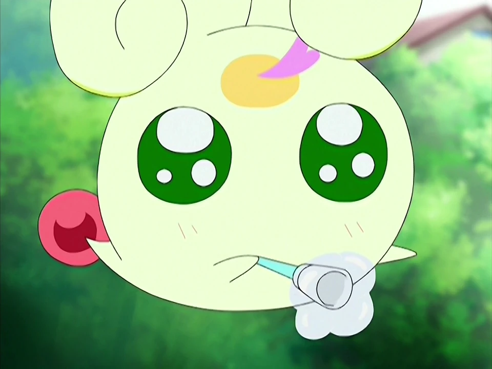 Moop | Pretty Cure Wiki | Fandom