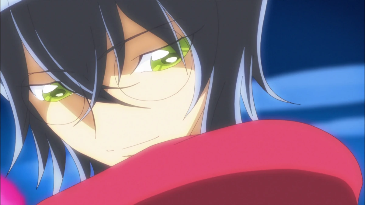 Coupe | Pretty Cure Wiki | Fandom