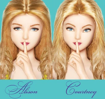 Image Courtney And Alisonpng Pretty Little Liars Wiki