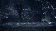 Mary Drake | Pretty Little Liars Wiki | Fandom