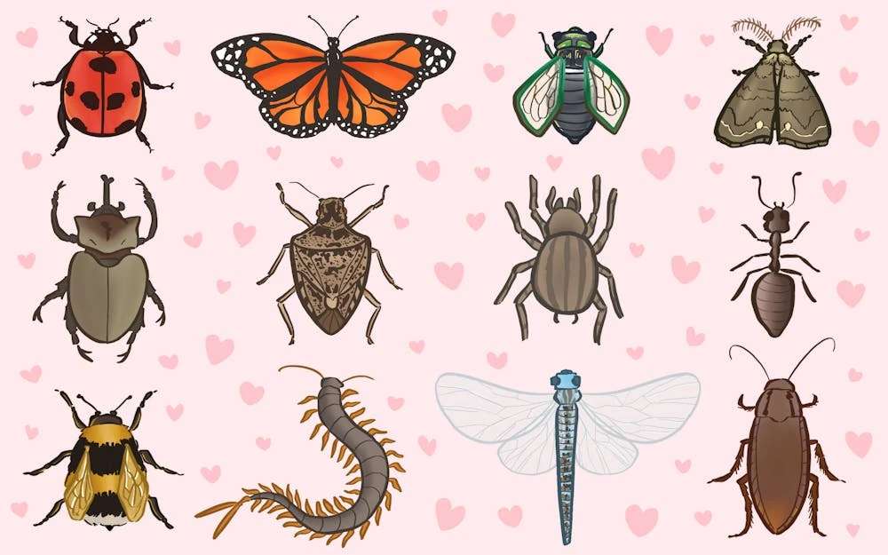 Insects | Prettymon Wiki | Fandom