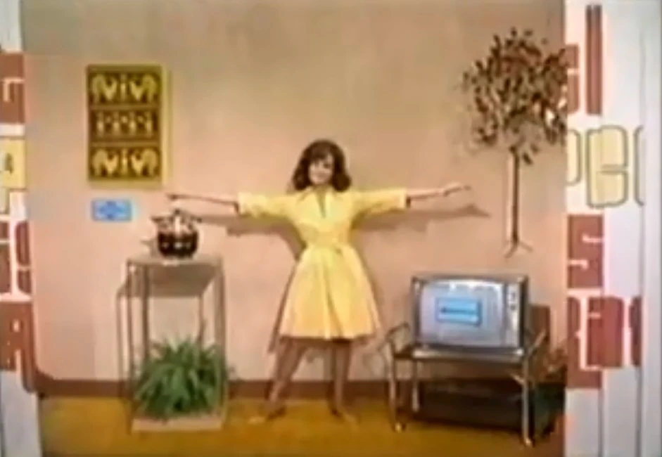 Ten Chances/Gallery/1970s | The Price Is Right Wiki | Fandom