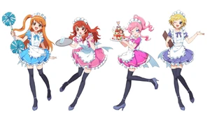 Pretty Series 10th Anniversary | PriChan Wiki | Fandom