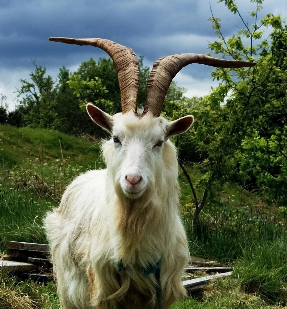 Yuge | Pridain Wiki | Fandom