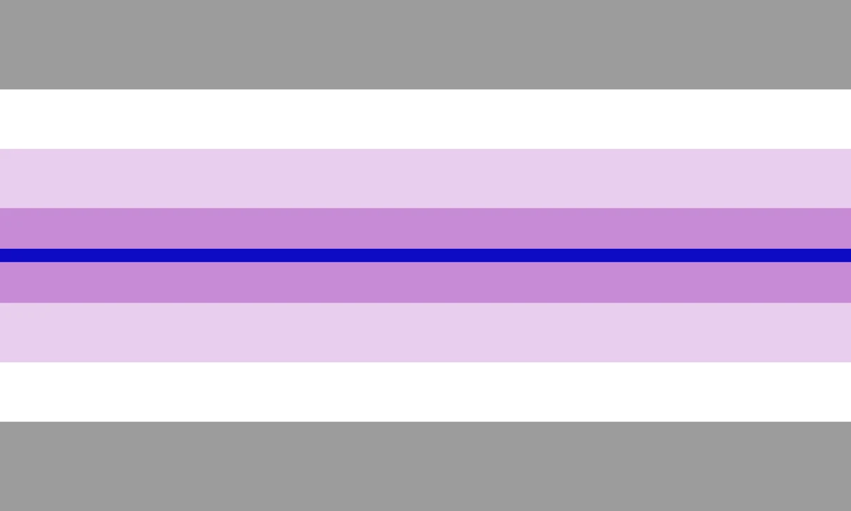 Paraboy Flag | Pride Flag Wiki | Fandom