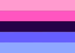 Omnisexual Flag | Pride Flag Wiki | Fandom