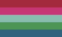 Polygender Flag 3 | Pride Flag Wiki | Fandom