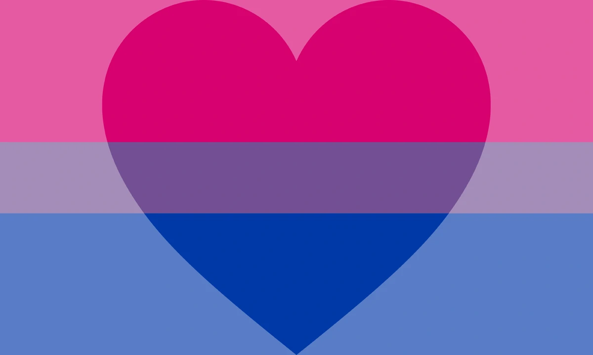 Biromantic Flag | Pride Flag Wiki | Fandom