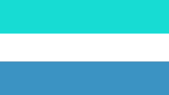 He/Him Flag | Pride Flag Wiki | Fandom