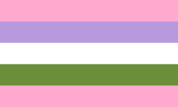 Demigirl Flag 2 | Pride Flag Wiki | Fandom