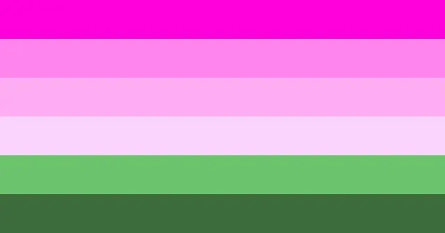 Gynosexual Flag 2 | Pride Flag Wiki | Fandom