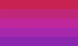 Original Aceflux Flag | Pride Flag Wiki | Fandom