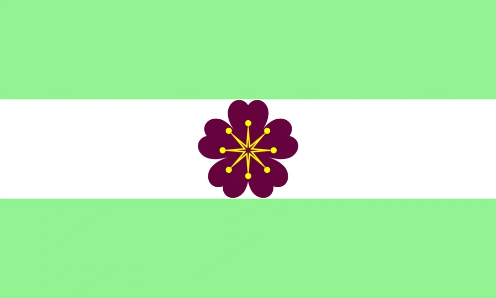 Diamoric Flag | Pride Flag Wiki | Fandom