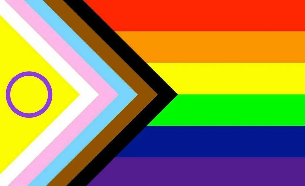 Inclusive Progress Flag | Pride Flag Wiki | Fandom