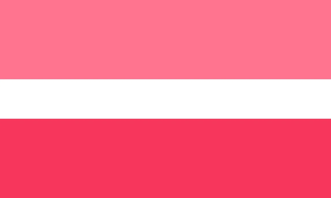 She/Her Flag | Pride Flag Wiki | Fandom
