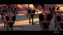 Wild Dogs | Primal Wiki | Fandom