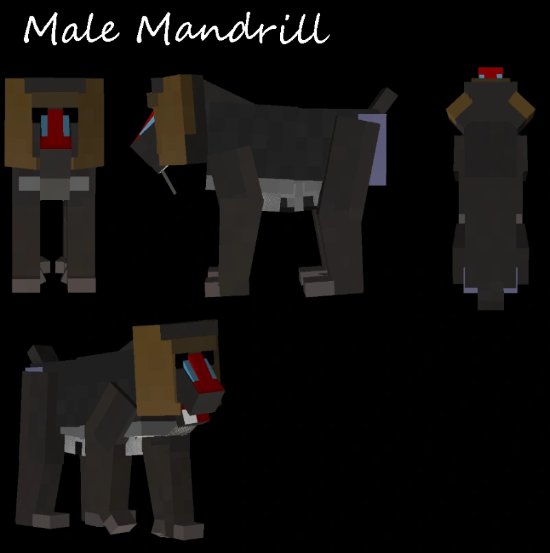 Mandrill | Into the Jungle: A Primate Mod Wiki | Fandom