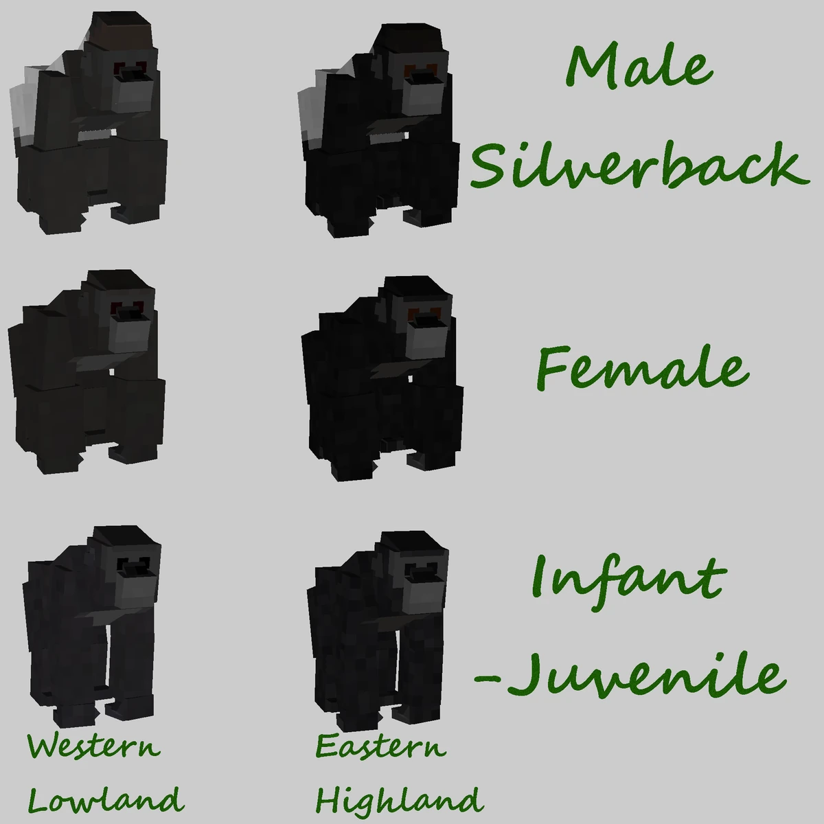 Gorilla | Into the Jungle: A Primate Mod Wiki | Fandom