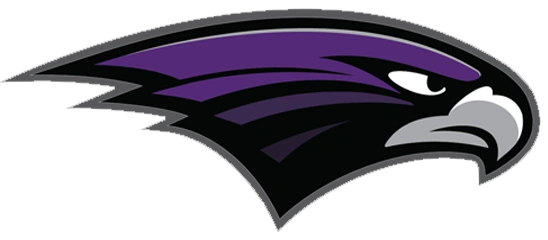 Chicago Nighthawks | Prime Football League Wiki | Fandom