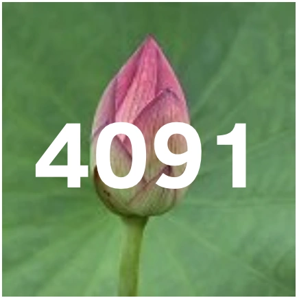 4,091 | Prime Numbers Wiki | Fandom