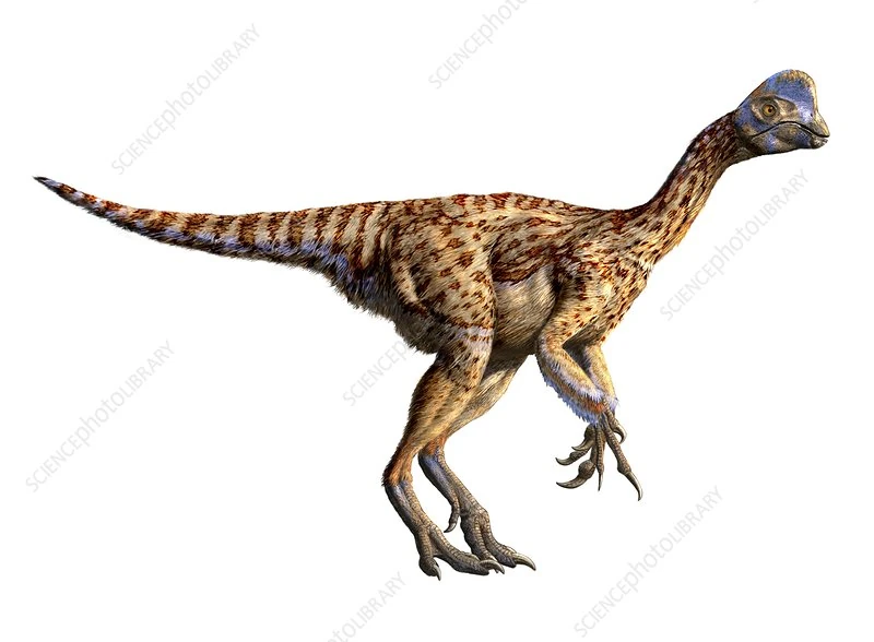 Oviraptor (Primeval Rising) | Primeval Fanon Wiki | Fandom
