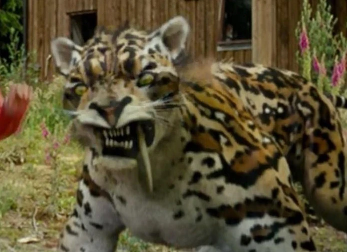 Smilodon (P:LIT) | Primeval Fanon Wiki | Fandom