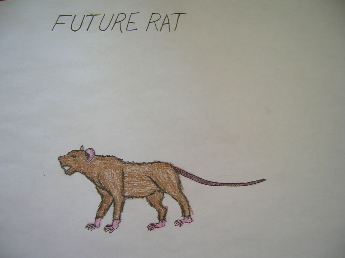 Future Rat Pc Primeval Fanon Wiki Fandom