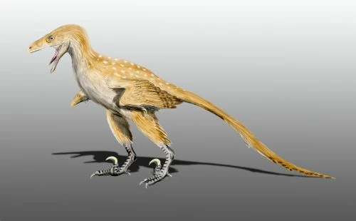 Dromaeosaurus (P:R) | Primeval Fanon Wiki | Fandom