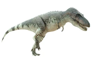 Daspletosaurus (PAS) | Primeval Fanon Wiki | Fandom