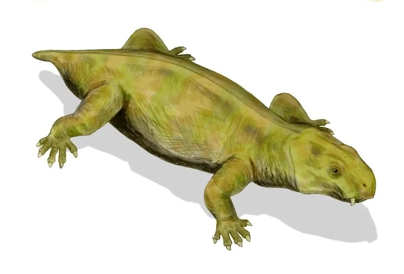 Primeval Chronicles | Primeval Fanon Wiki | Fandom