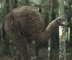 Giant Moa | Primeval: The Reboot Wiki | Fandom