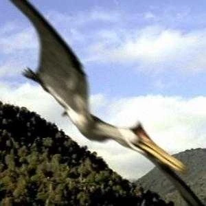 Quetzalcoatlus | Primeval: The Reboot Wiki | Fandom