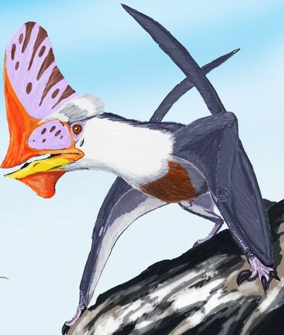 Tupandactylus | Primeval: The Reboot Wiki | Fandom