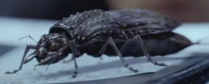 Future Beetle | Primeval: The Reboot Wiki | Fandom