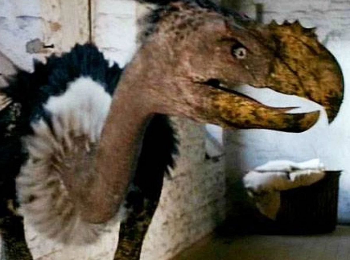 Terror Bird | Primeval: The Reboot Wiki | Fandom