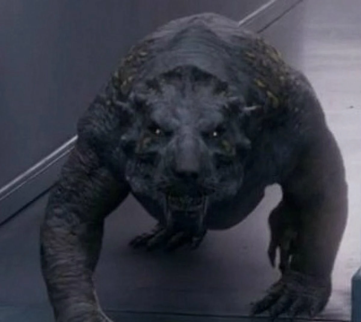 Therocephalian | Primeval: The Reboot Wiki | Fandom