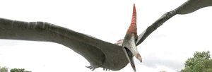 Pteranodon | Primeval: The Reboot Wiki | Fandom