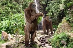 Gigantopithecus/Yeti | Primeval: The Reboot Wiki | Fandom