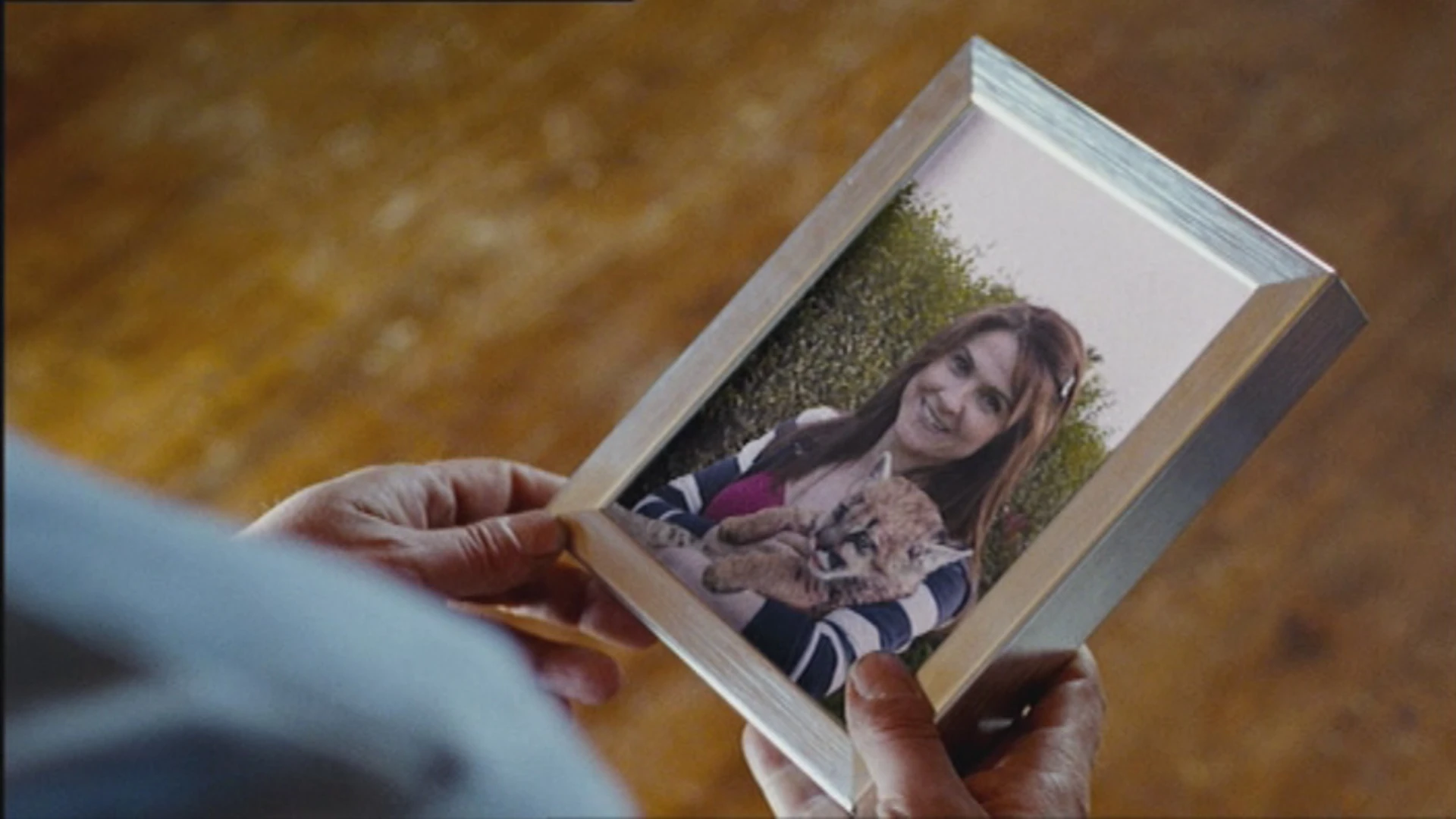 Primeval Sabertooth Tiger Toy