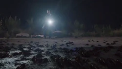 Primeval New World Jurassic Flying Beetle