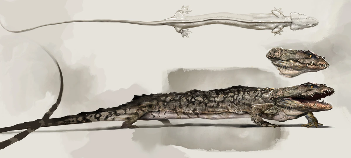 Labyrinthodont/Gallery | Anomaly Research Centre | Fandom