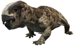Primeval Diictodon