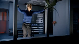 Menagerie | Anomaly Research Centre | Fandom