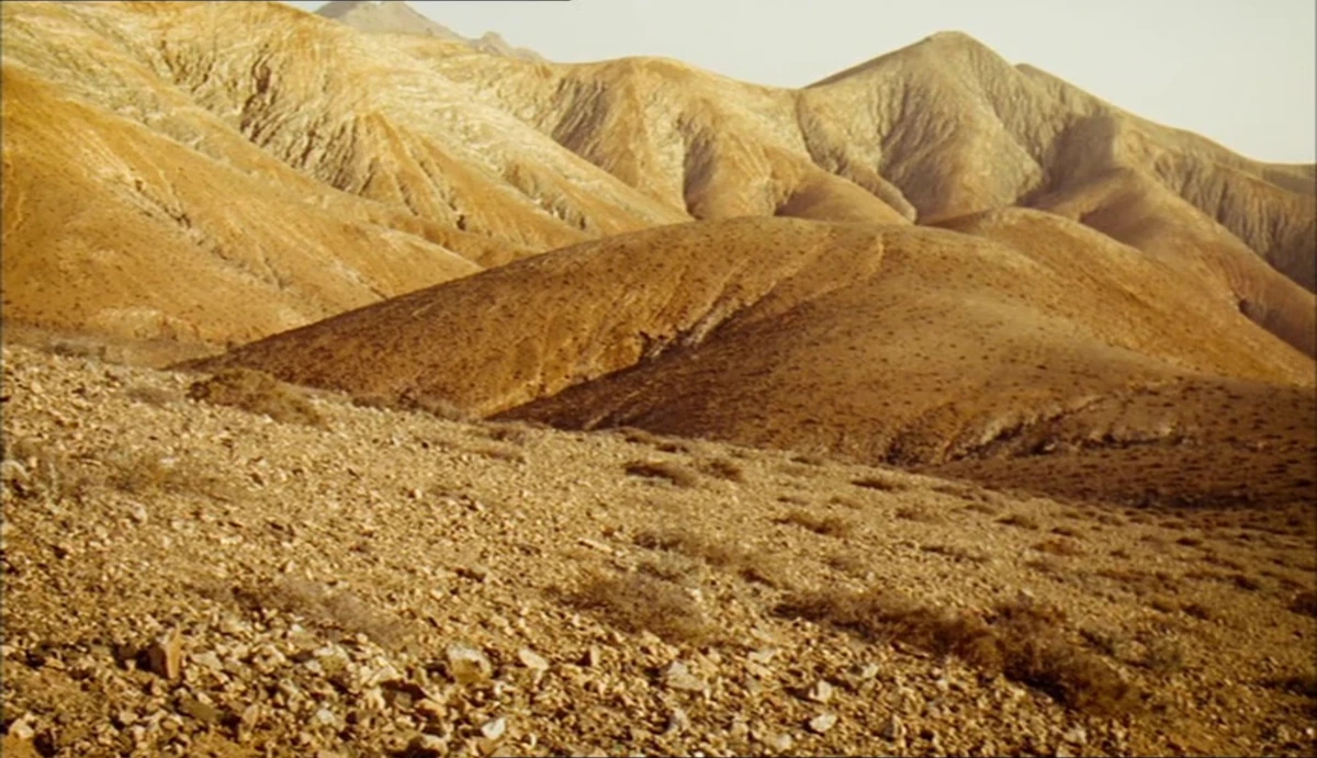 Cretaceous desert | Anomaly Research Centre | Fandom