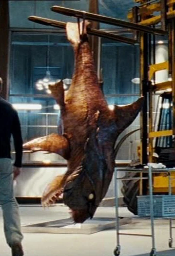 Future Shark | Anomaly Research Centre | Fandom