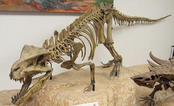 Postosuchus | Anomaly Research Centre | Fandom