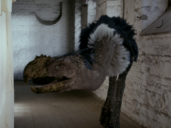 Terror Bird | Anomaly Research Centre | Fandom