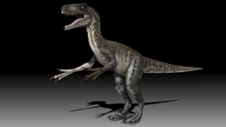 Primeval New World Utahraptor
