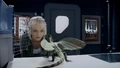Rex | Anomaly Research Centre | Fandom